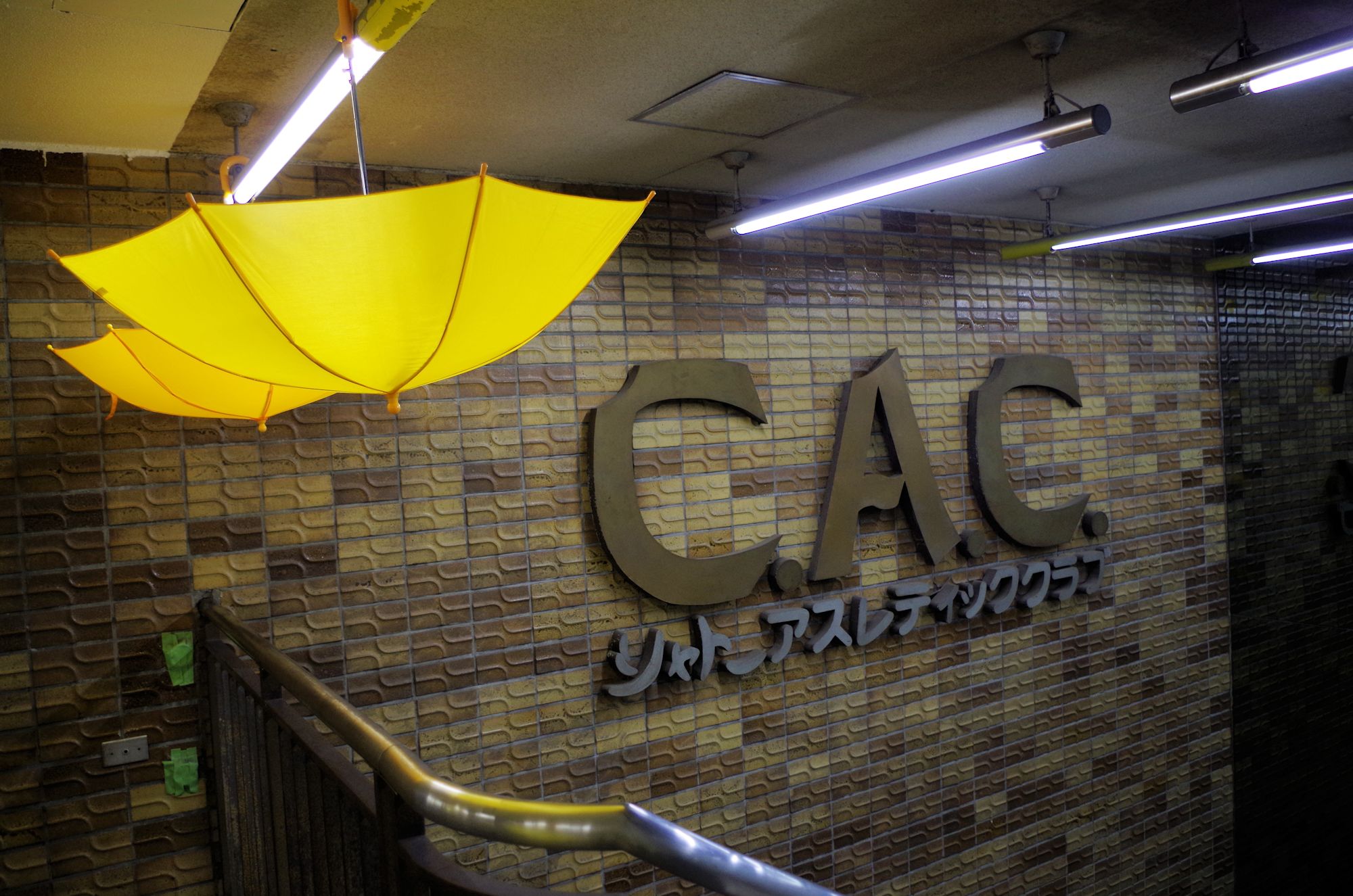 まろん通信Vol.1149 ある夏の日、シャトーは黄色くなった | まろん通信