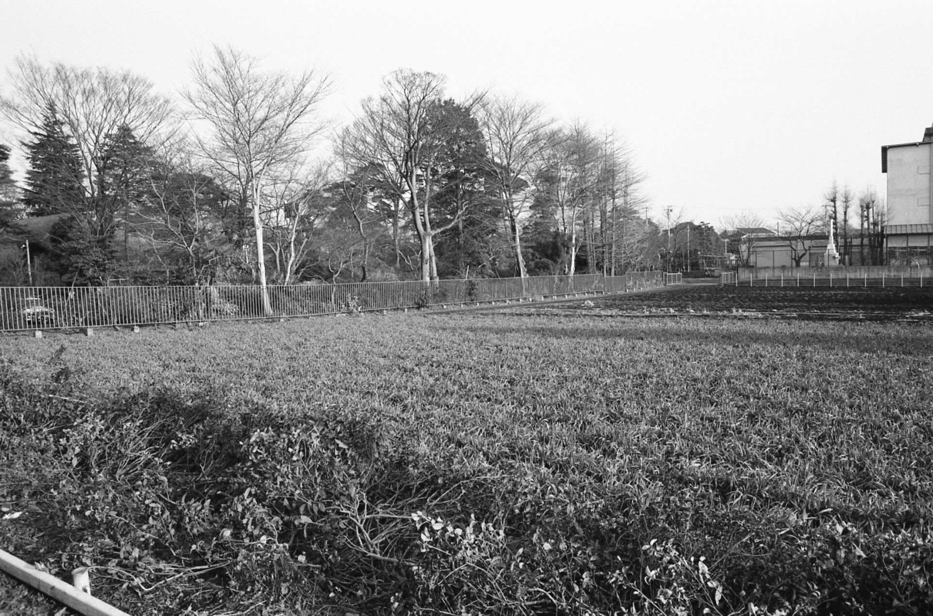 Vol.3434 かまど使用再開です〜野外調理場〜 | まろん通信