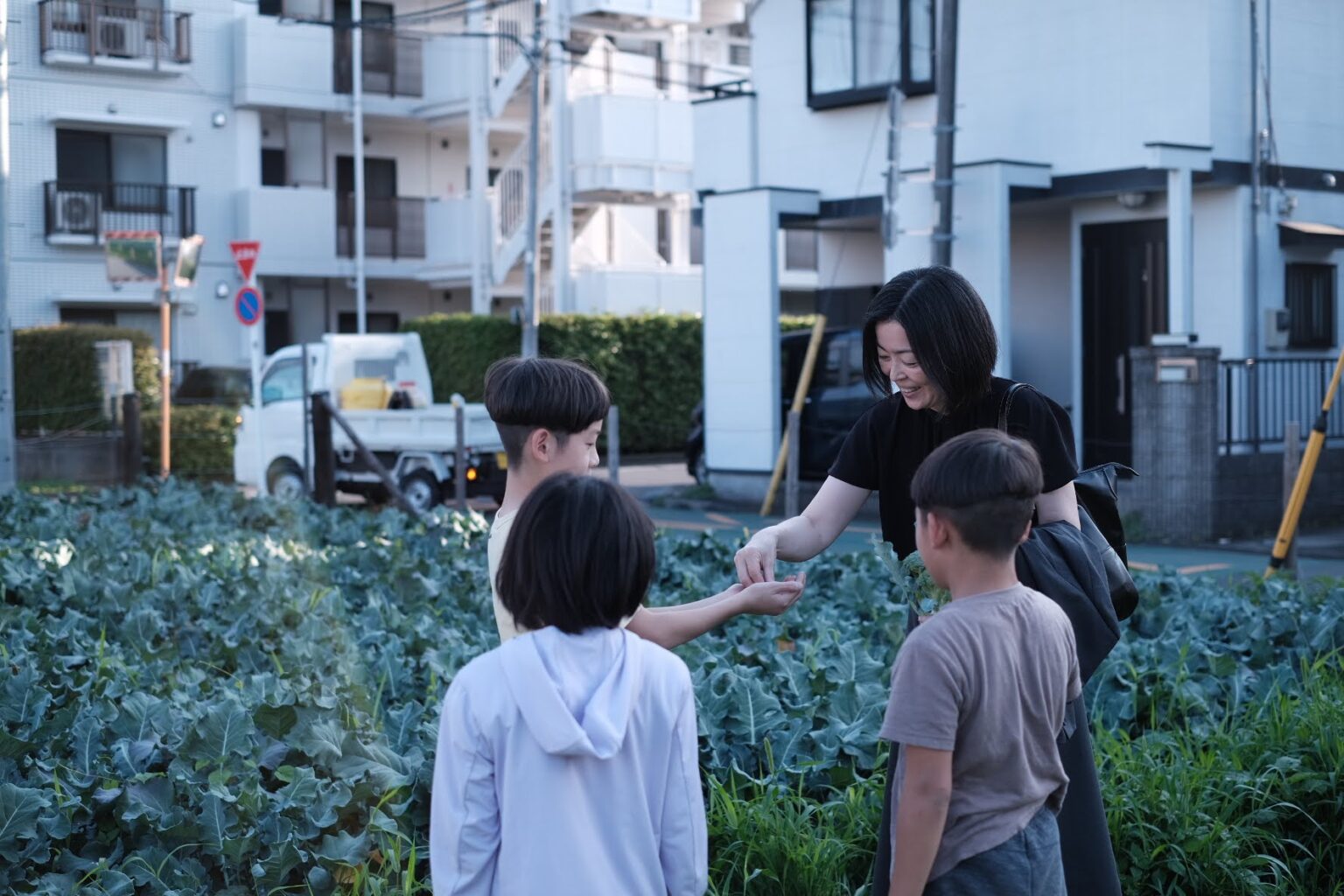 まろん通信Vol.3433 ぶろりー大作戦「となえよ・アマイタケ！」（1） はじまりはじまり | まろん通信